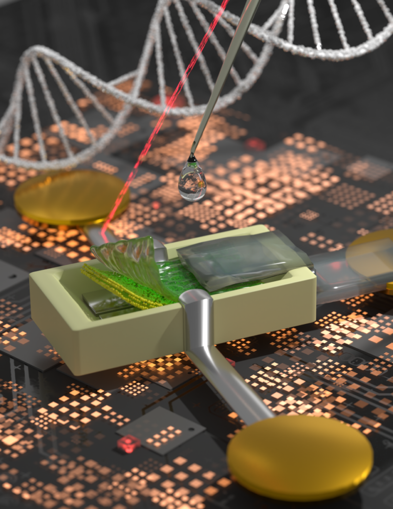 3D Matter Made to Order | The Cluster of Excellence